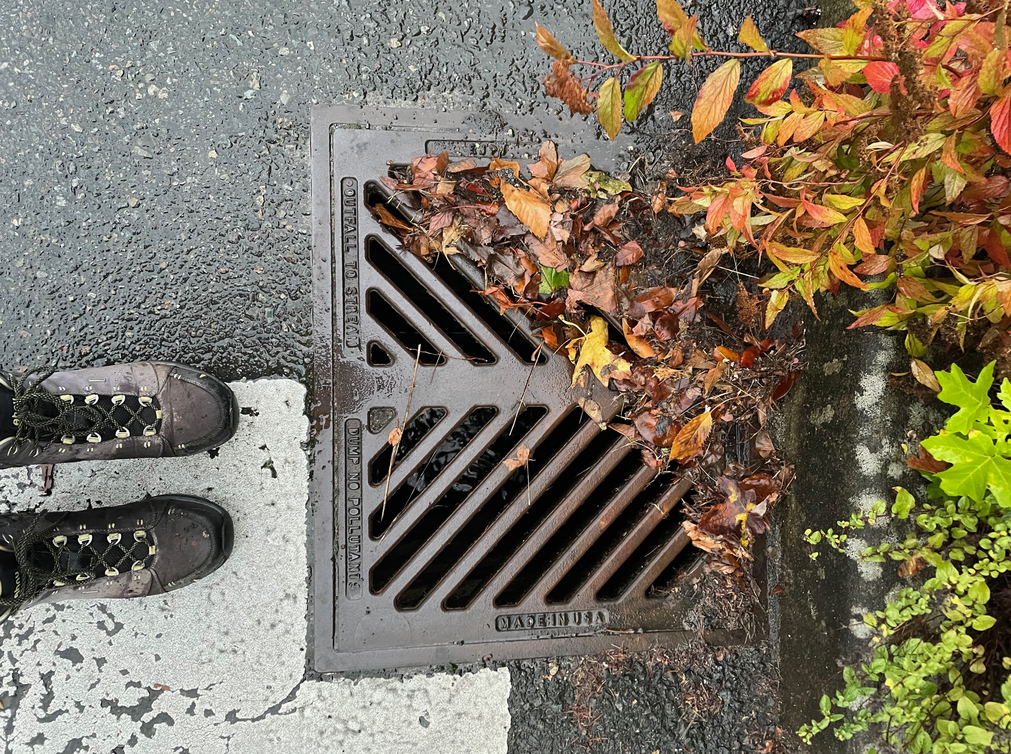 Help keep storm drains clean – South Capitol Neighborhood Association